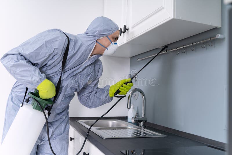 Exterminator in Spraying Pesticide in Kitchen Stock Image - Image of ...