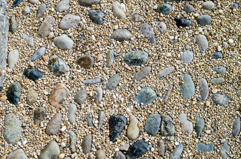 Cad Block Vegetable Garden Stock Photos - Free & Royalty-Free Stock ...