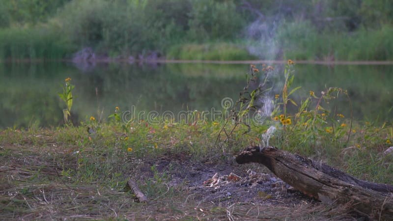 An Extinct Bonfire in the Camp by the Lake. Light Smoke from Coals and ...