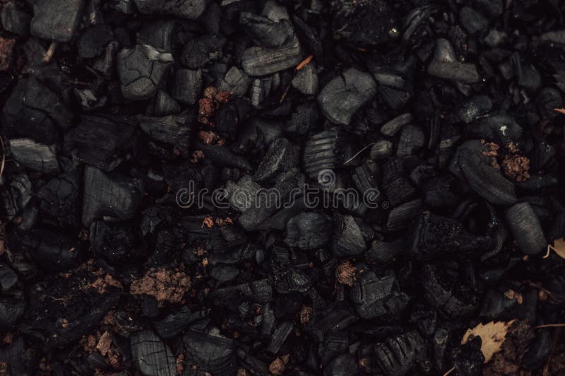 Extinct coal of wood stock image. Image of extinct, brown - 132255371
