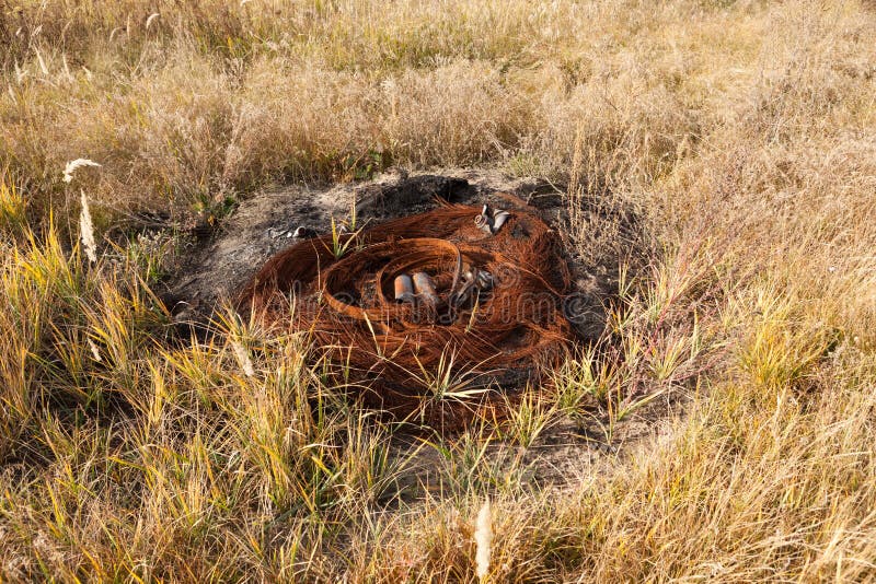 Extinct Fire among Dry Grass. Dangerous Fire Breeding in Nature Stock ...