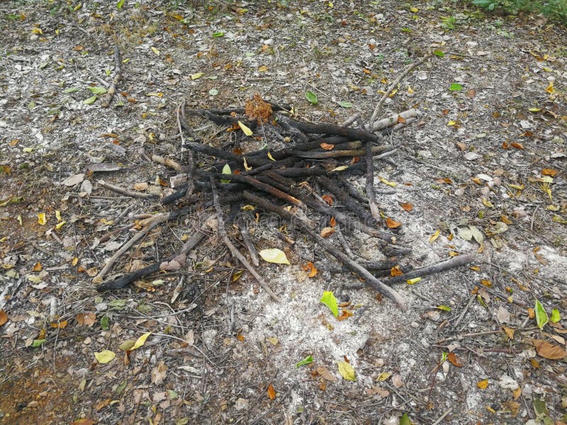 Extinct fire stock image. Image of wood, wild, ground - 93659135