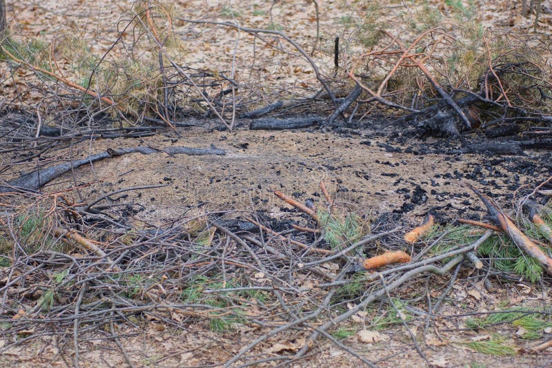 An Extinct Fire Made of Black Ash and Ash on the Brown Ground Stock ...