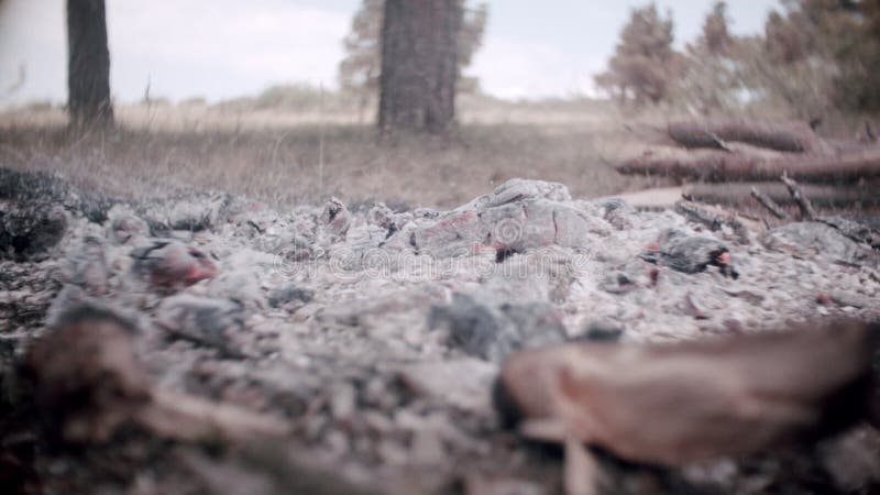 An Extinct Bonfire in the Camp by the Lake. Light Smoke from Coals and ...