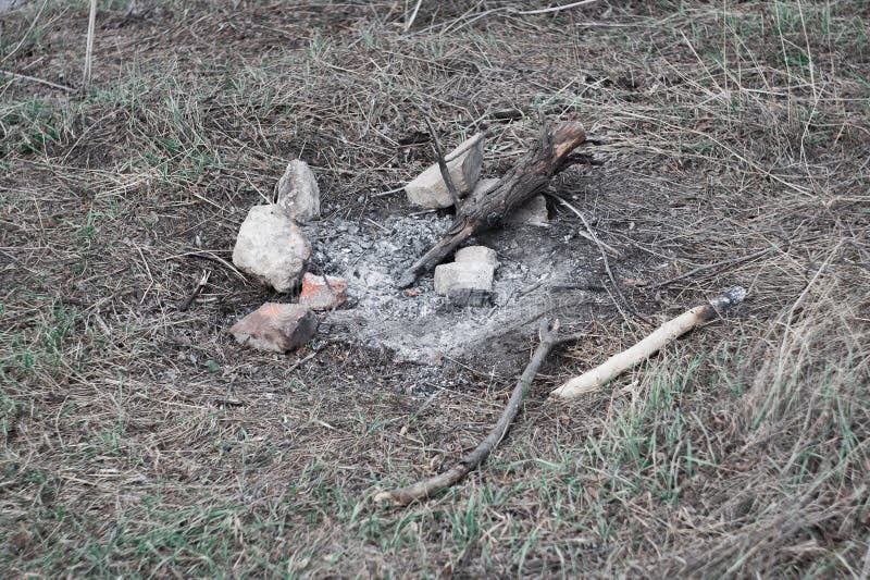 Extinguished Campfire Close-up at Forest Stock Image - Image of explore ...