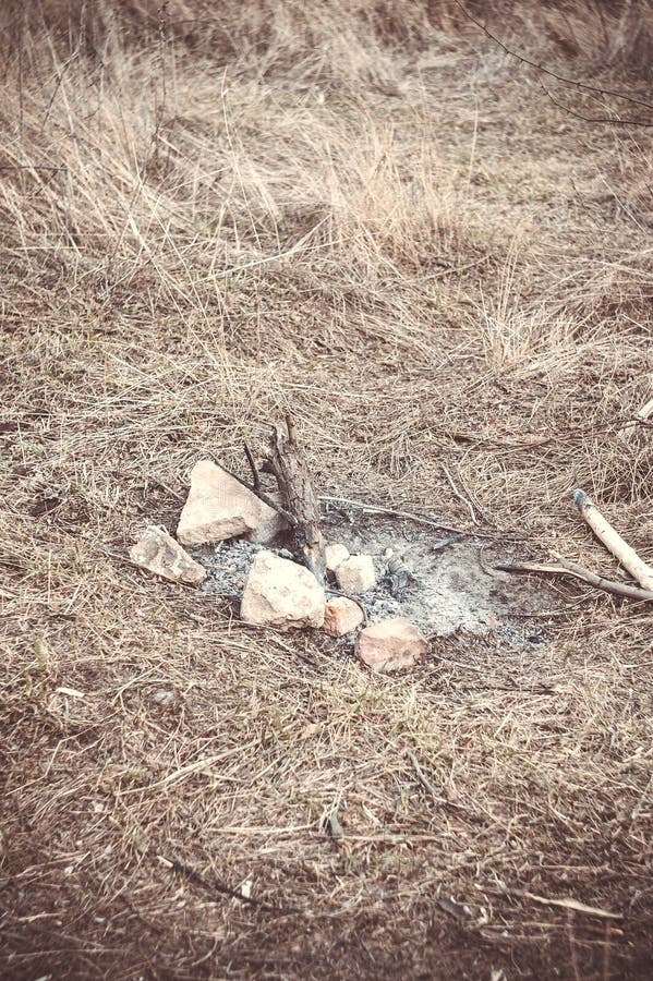 Extinguished Campfire at a Campground Stock Image - Image of campsite ...