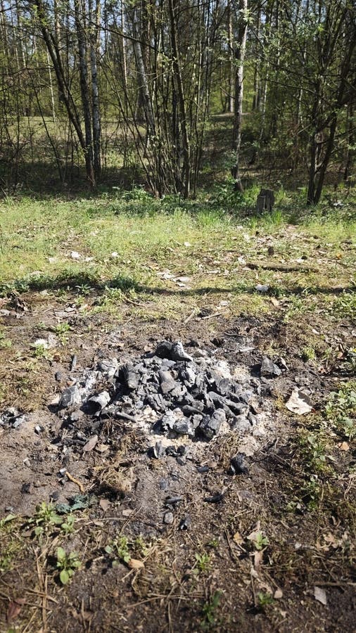 Extinguished Campfire with Blackened Ashes Stock Photo - Image of ...