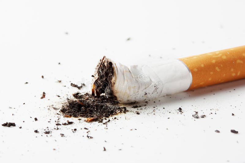 Extinguished Cigarette With Ash Stock Photo - Image of white, isolated ...