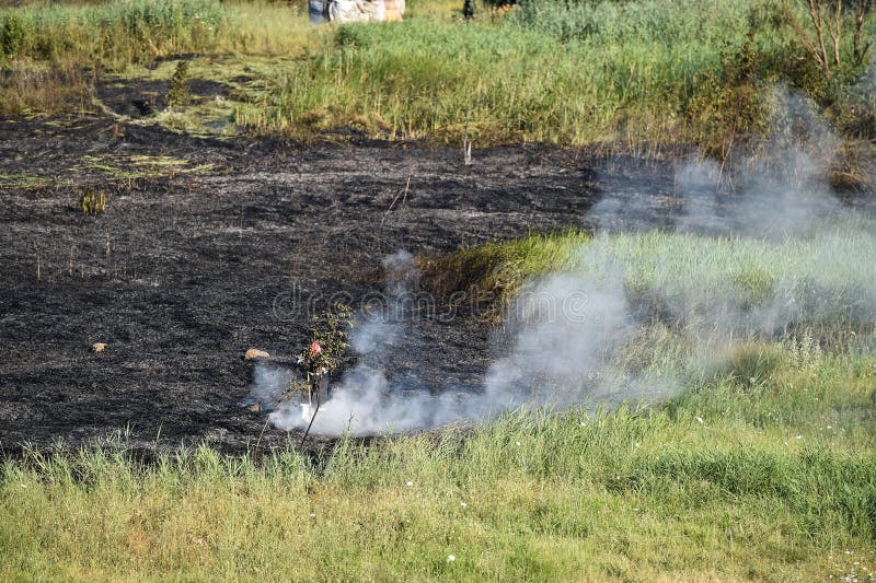 Extinguished Fire in a Natural Park Stock Image - Image of fire ...