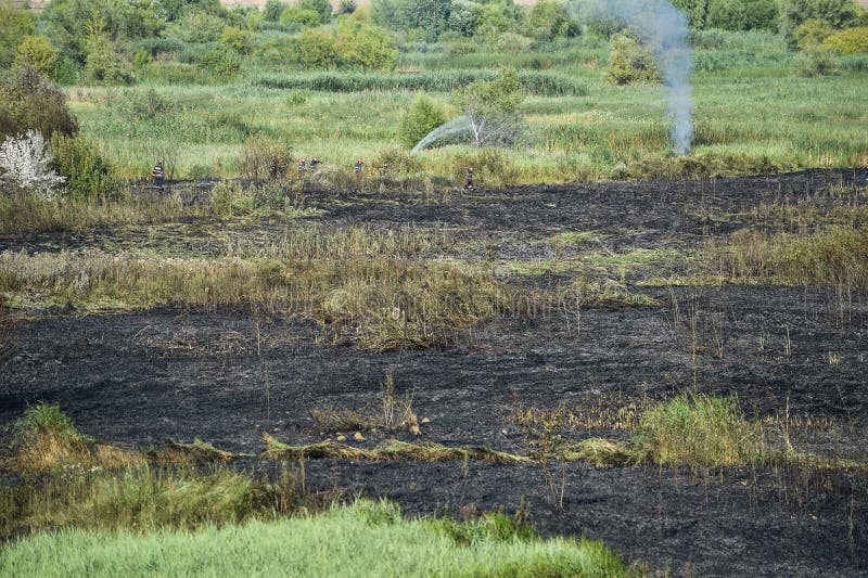 Extinguished Fire in a Natural Park Stock Image - Image of land, arid ...