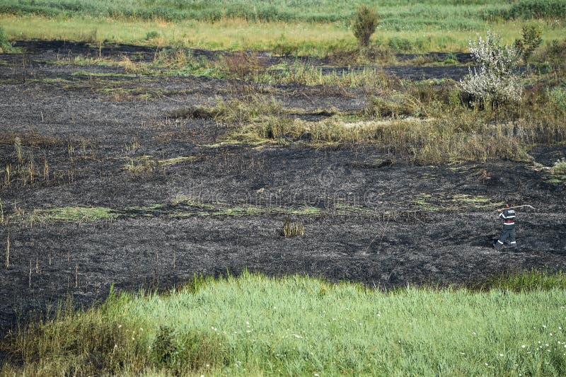 Extinguished Fire in a Natural Park Stock Photo - Image of meadow ...