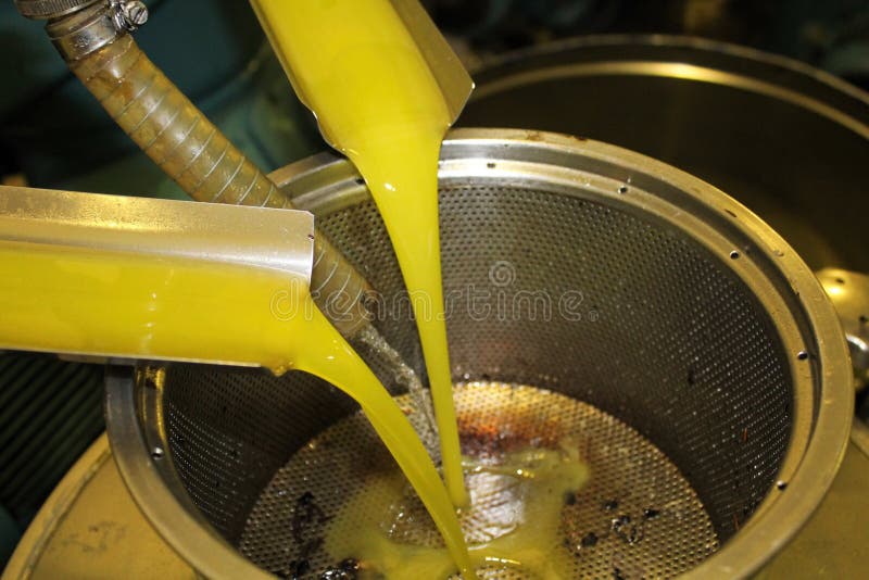 Extra Virgin Olive Oil Extraction Process in Olive Oil Mill Stock Photo ...