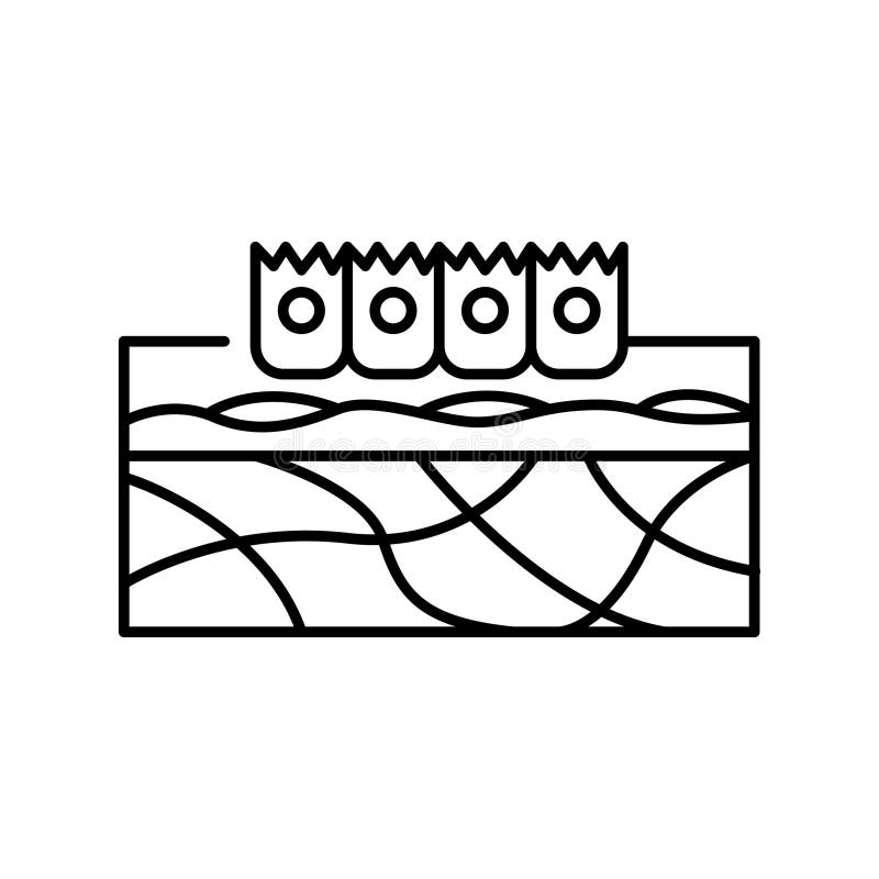 Extracellular Matrix Black Line Icon Stock Vector - Illustration of ...