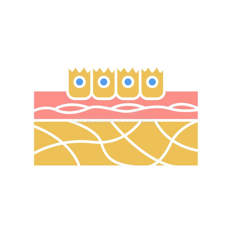 Extracellular Matrix Black Line Icon. Stock Vector - Illustration of ...