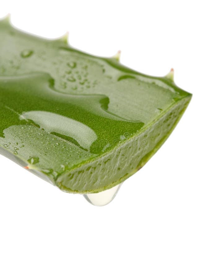 Extract of aloe stock image. Image of grow, clinically - 14337565