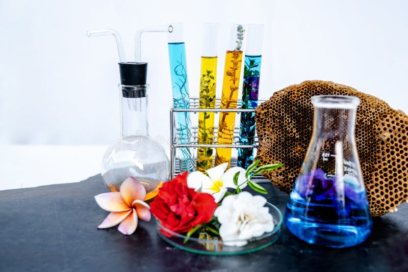 Extract of Aromatic Substances from Natural Flowers Stock Image - Image ...