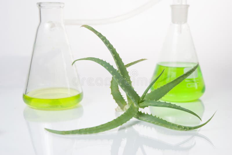 Extract of Plants. Natural Chemistry. Stock Image - Image of biology ...
