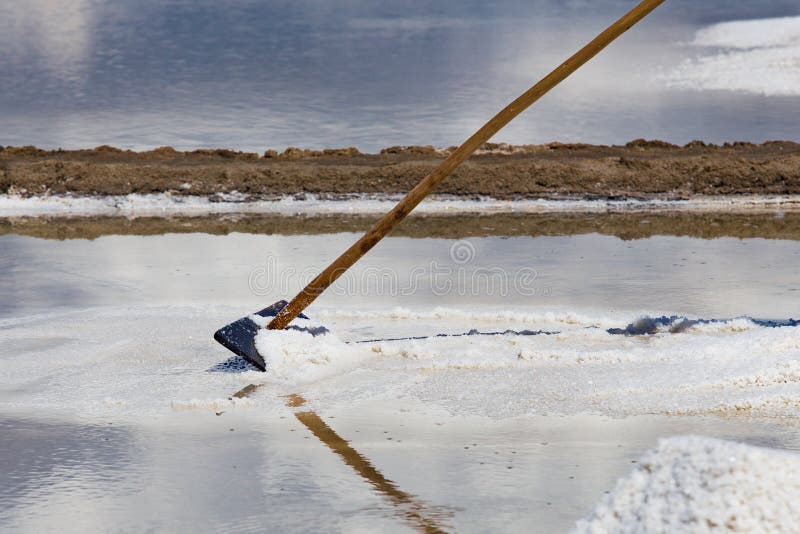 Extracting Salt with a Scraper at Salt Pan Stock Photo - Image of ...