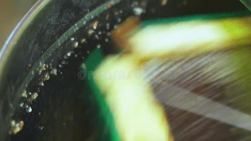 Extraction of Honey from Honeycombs of Nesting Frames in a Honey ... Extraction of Honey from Honeycombs of Nesting Frames in a Honey ...