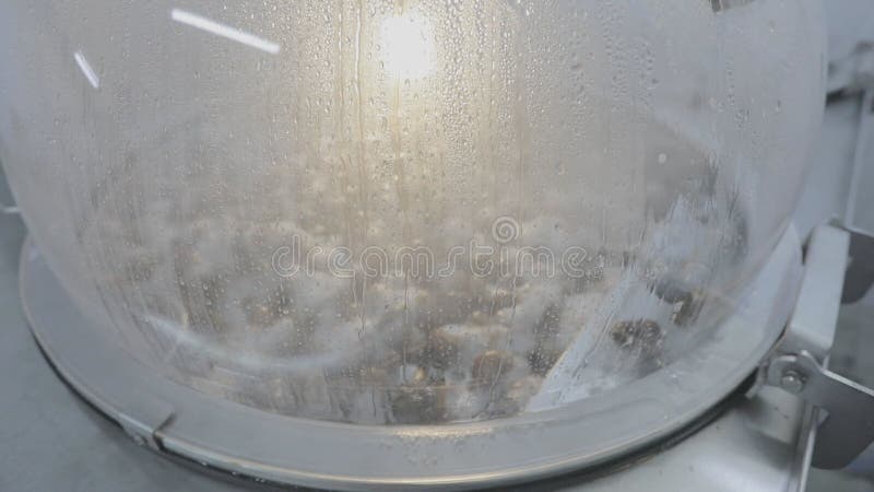 Extraction of Mucin from Snails. the Modern Method of Snail Extraction ...