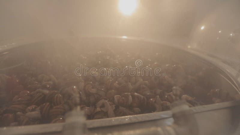 Extraction of Mucin from Snails. the Modern Method of Snail Extraction ...