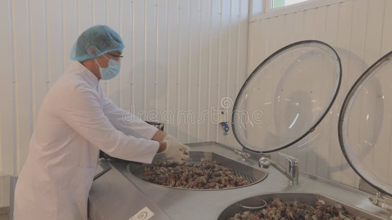 Extraction of Mucin from Snails. the Modern Method of Snail Extraction ...