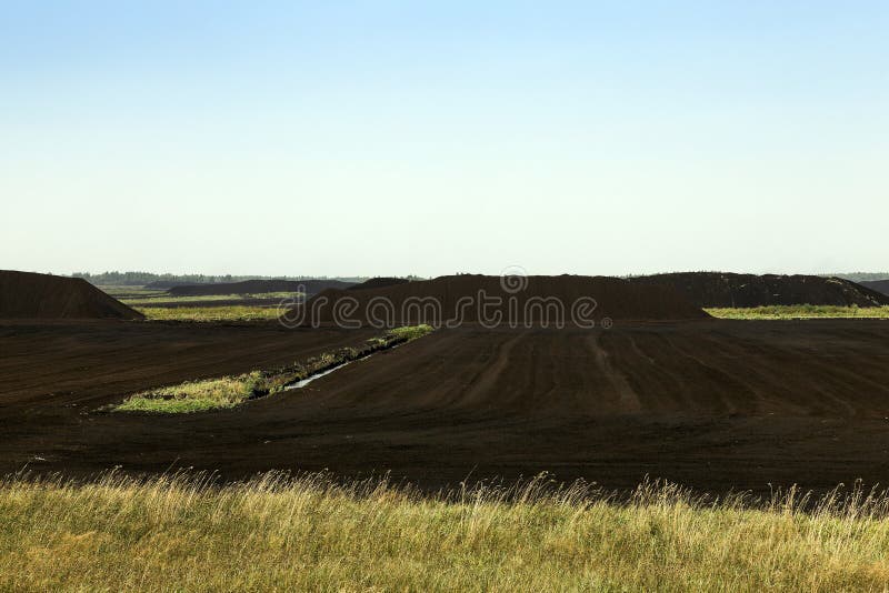 Extraction of peat stock photo. Image of forest, drinking - 73970400