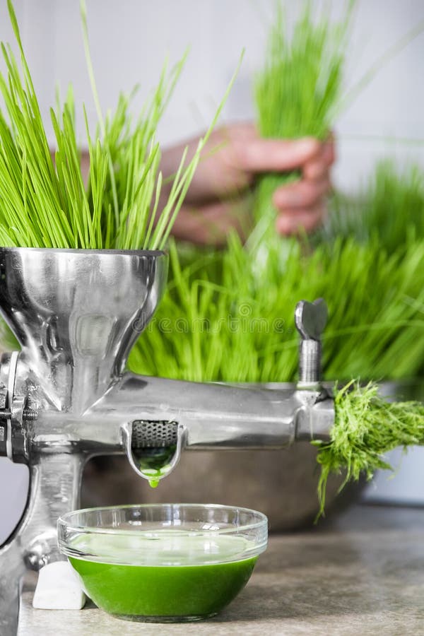 Extraction of Wheatgrass in Action on the Kitchen Countertop Using a ...