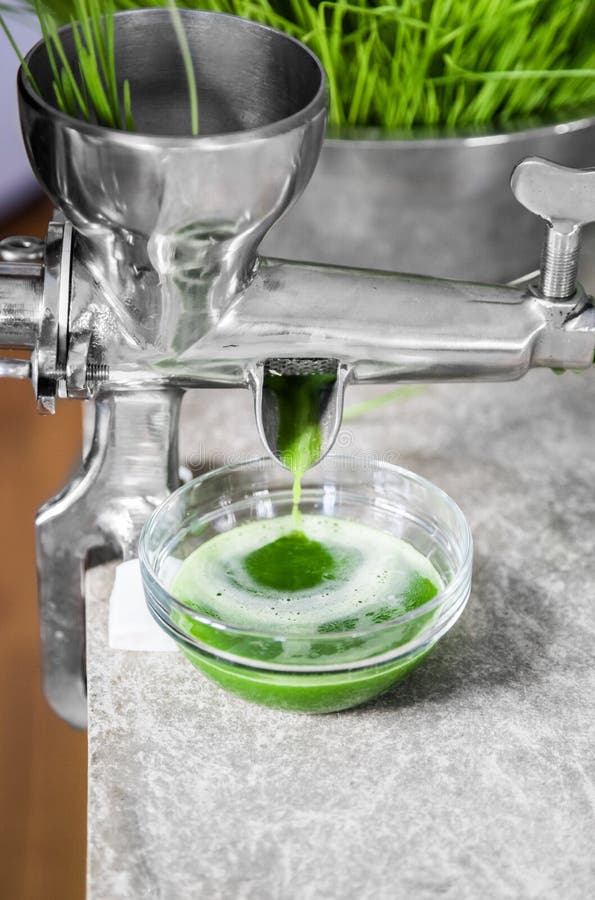 Extraction of Wheatgrass in Action on the Kitchen Countertop Using a ...