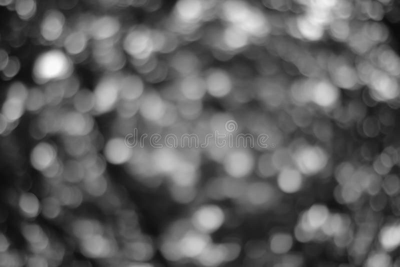 Extracto - Bokeh Reluciente Blanco Y Negro Foto de archivo - Imagen de ...
