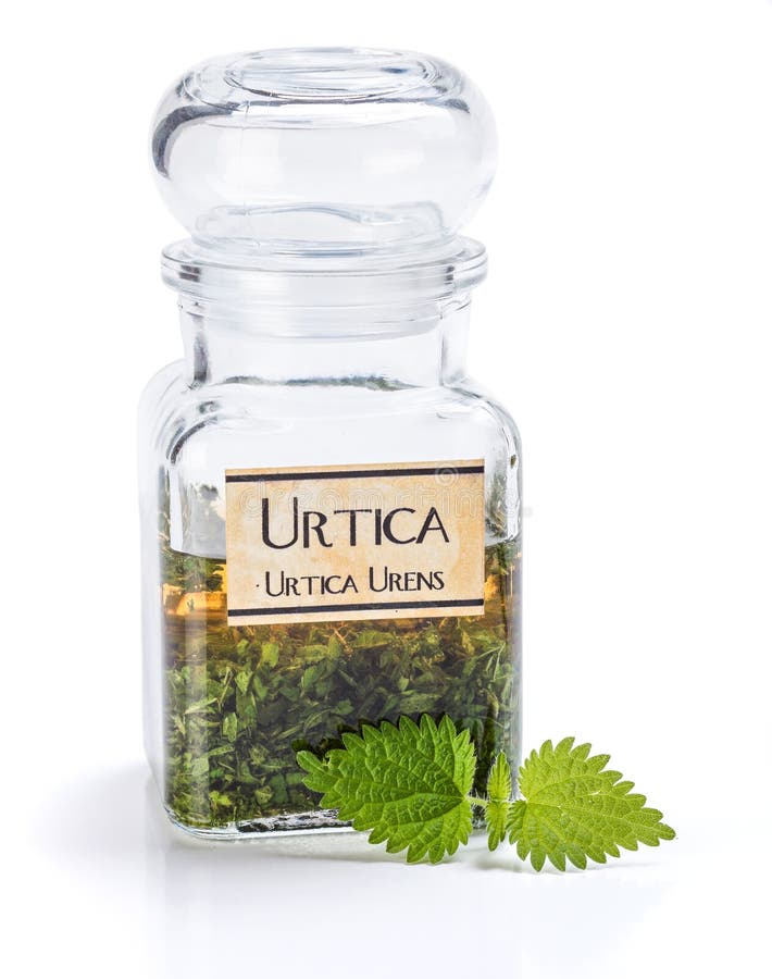 Extracto De La Planta De Urens Del Urtica Imagen de archivo - Imagen de ...
