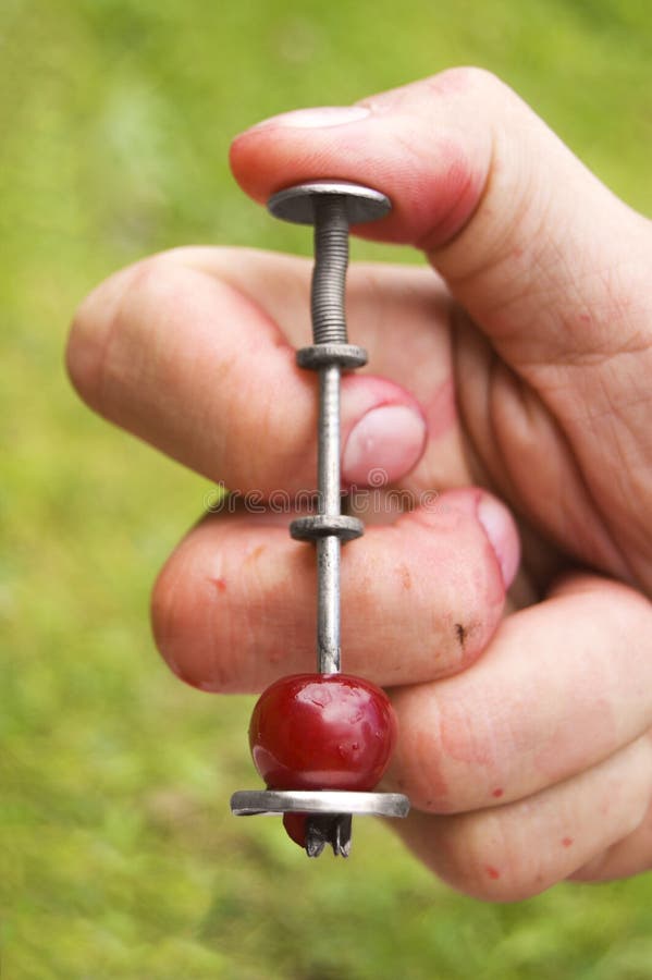 Extractor stock image. Image of human, seasonal, healthy - 10351455