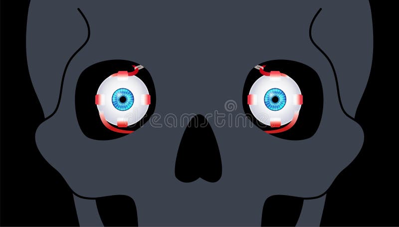 Extraocular Muscles Anatomy Stock Vector - Illustration of vision ...