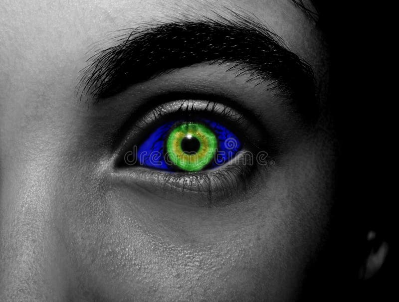 An Extraordinary , Insightful Look Eye. Close Up Shot Stock Photo ...