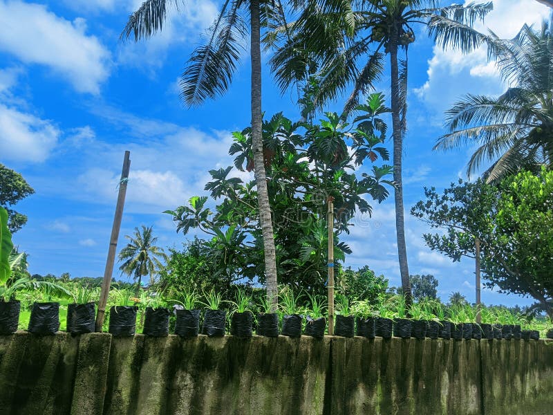 Extraordinary Natural Beauty Beatyfull View Background Stock Photos ...