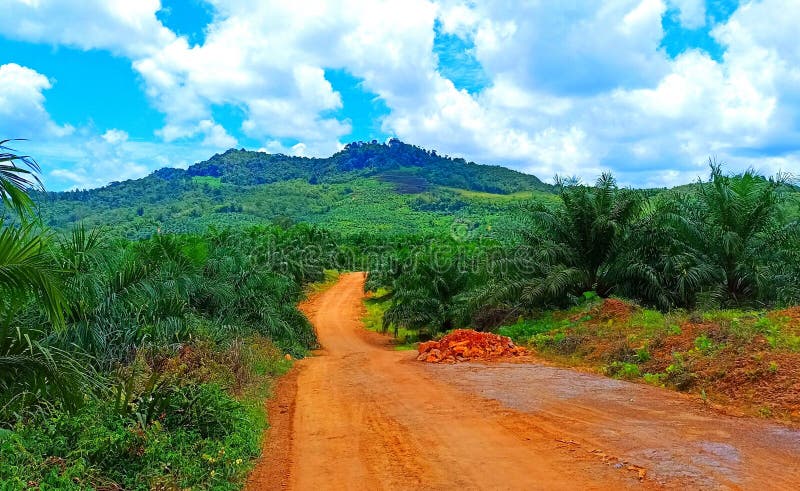 The Extraordinary Scenery of Beautiful Hills and Trees Adorns Nature ...