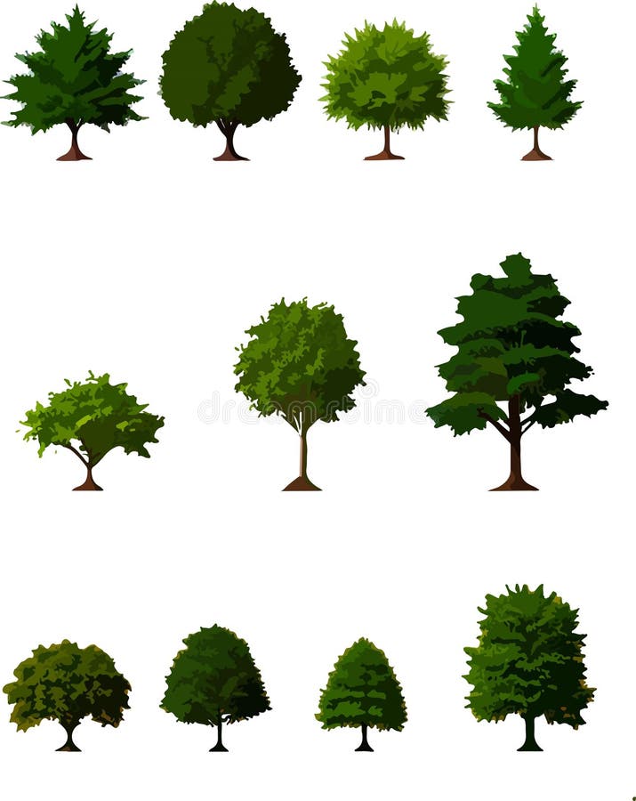 Extraordinary Trees Bushes Shrubs Seasesonal Vector Art Stock Vector ...