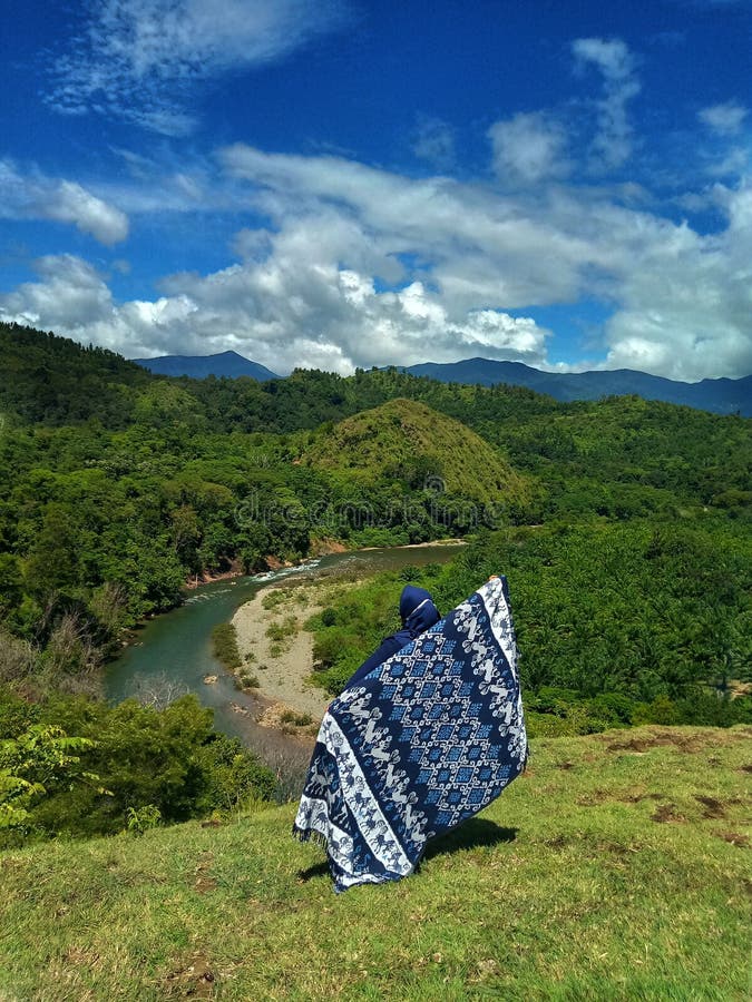 Extraordinary Tropical Forest Stock Image - Image of mountain, plateau ...