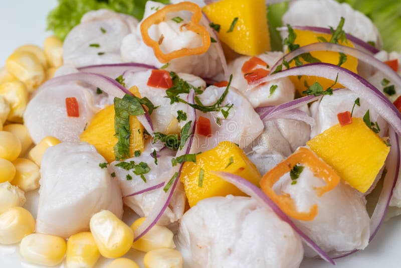 Extreme Close Up of Ceviche, Typical Fish-based Dish of Peruvian ...