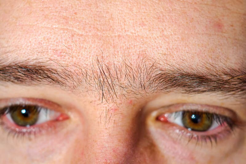 Extreme Close Up Macro Eyebrows of a Man Stock Photo - Image of fused ...