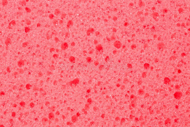 Extreme Close Up of a Pink Sponge Texture Background Stock Image ...