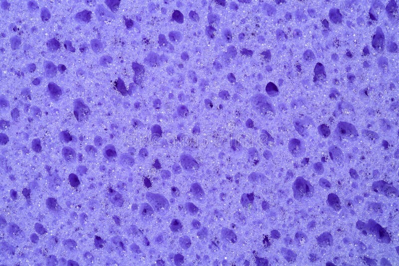 Extreme Close Up of a Violet Sponge Texture Background Stock Photo ...