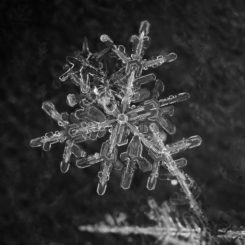 Extreme Closeup of Natural Snowflake Stock Photo - Image of nature ...