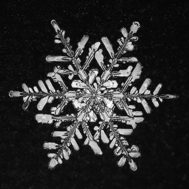 Extreme Closeup of Natural Snowflake Stock Image - Image of detail ...