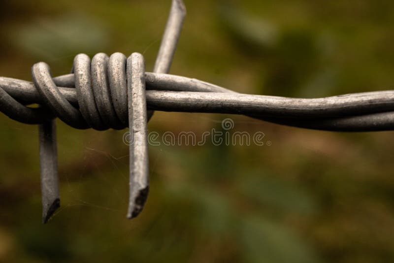 Extreme Closeup of a Sharp Point on a Barbed Wire Stock Image - Image ...