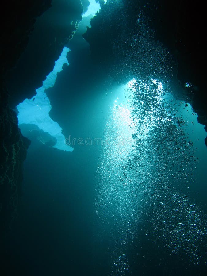 Clearwater Flight stock image. Image of dive, florida, divers - 878439