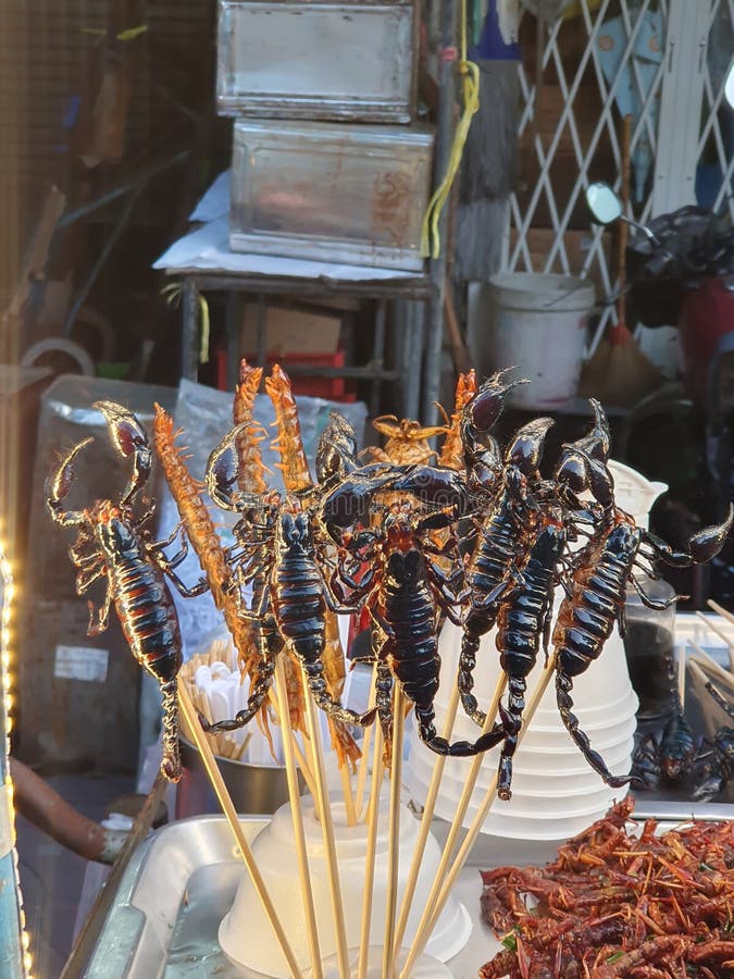 Extreme Food in Thailand stock photo. Image of bangkok - 266778102
