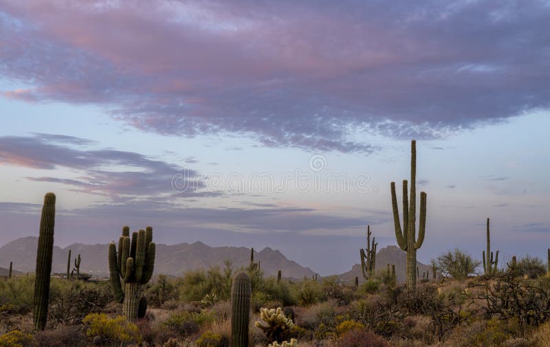 Extreme Heat Wave Arizona Desert Sunrise 2023 Stock Photo - Image of ...