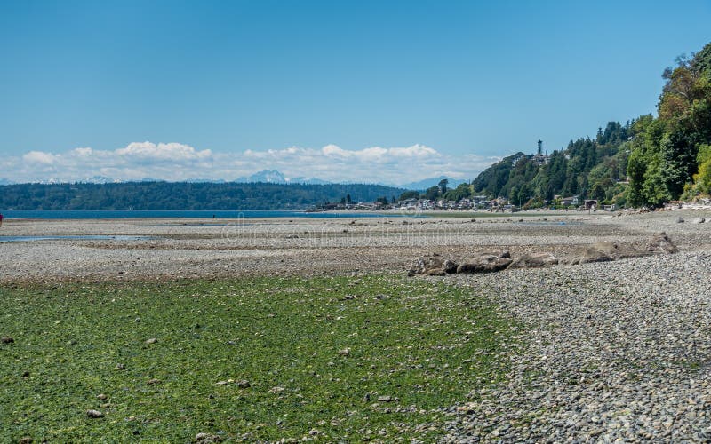 Extreme Low Tide 3 stock photo. Image of nature, state - 120492222