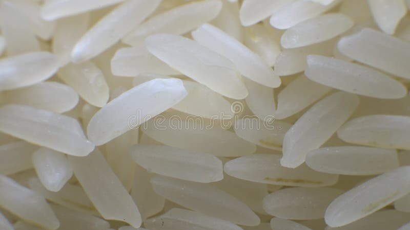 Extreme Macro. Close-up of Long Polished Uncooked Rice. Traffic Stock ...